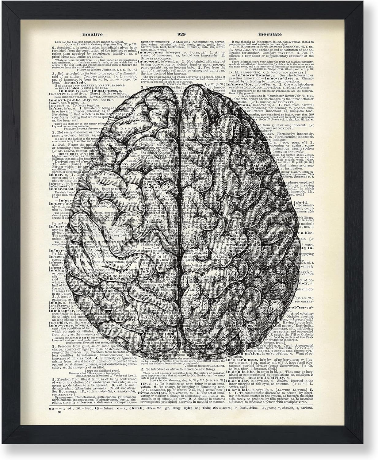 Amazon.com: Poster Master Human Brain Print - Anatomy Poster ...