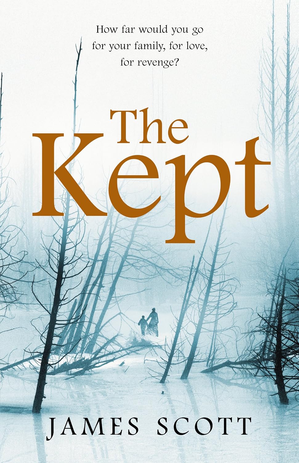 The Kept: Amazon.co.uk: Scott, James: 9780099559047: Books