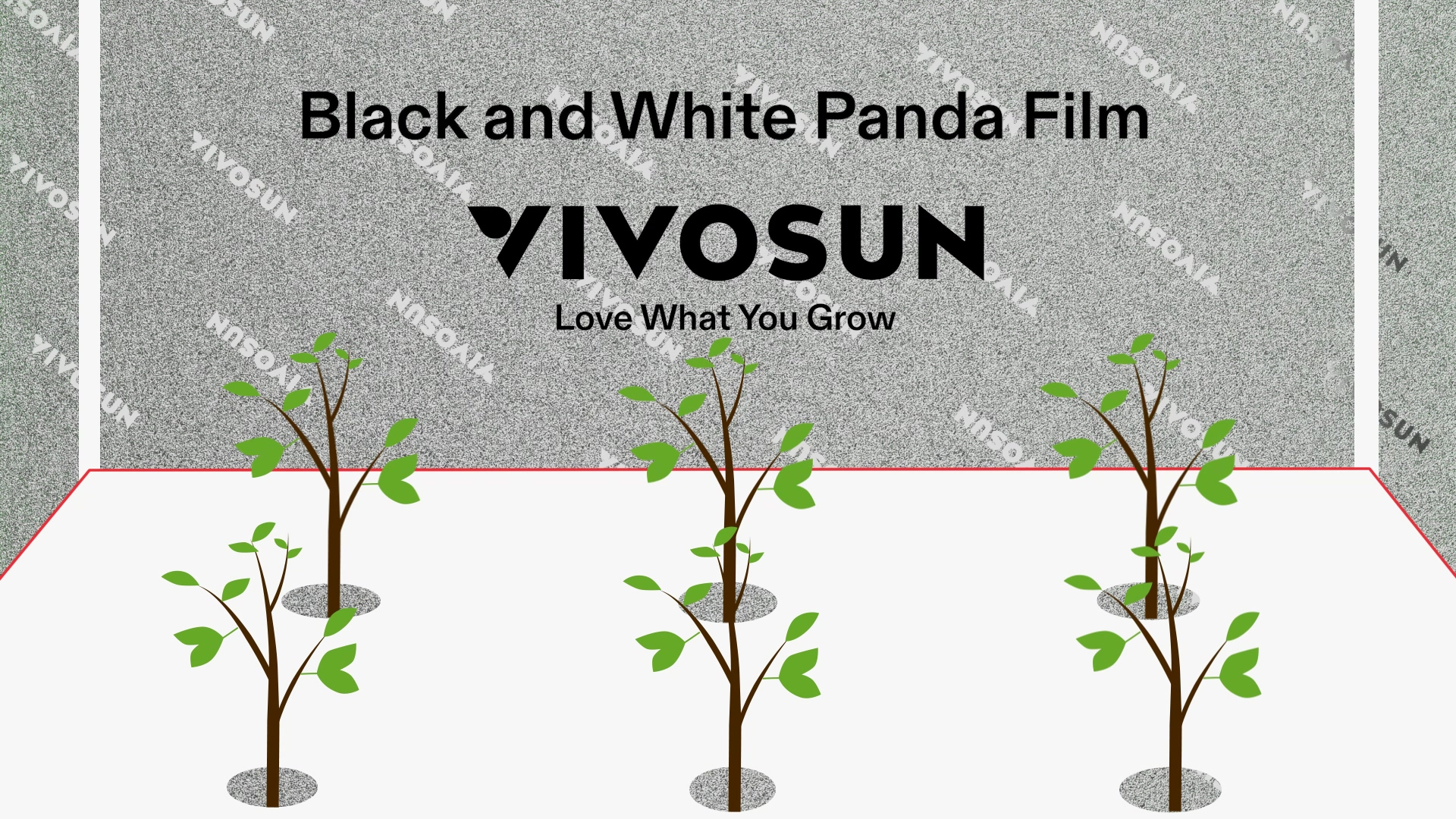 Black White Panda Film