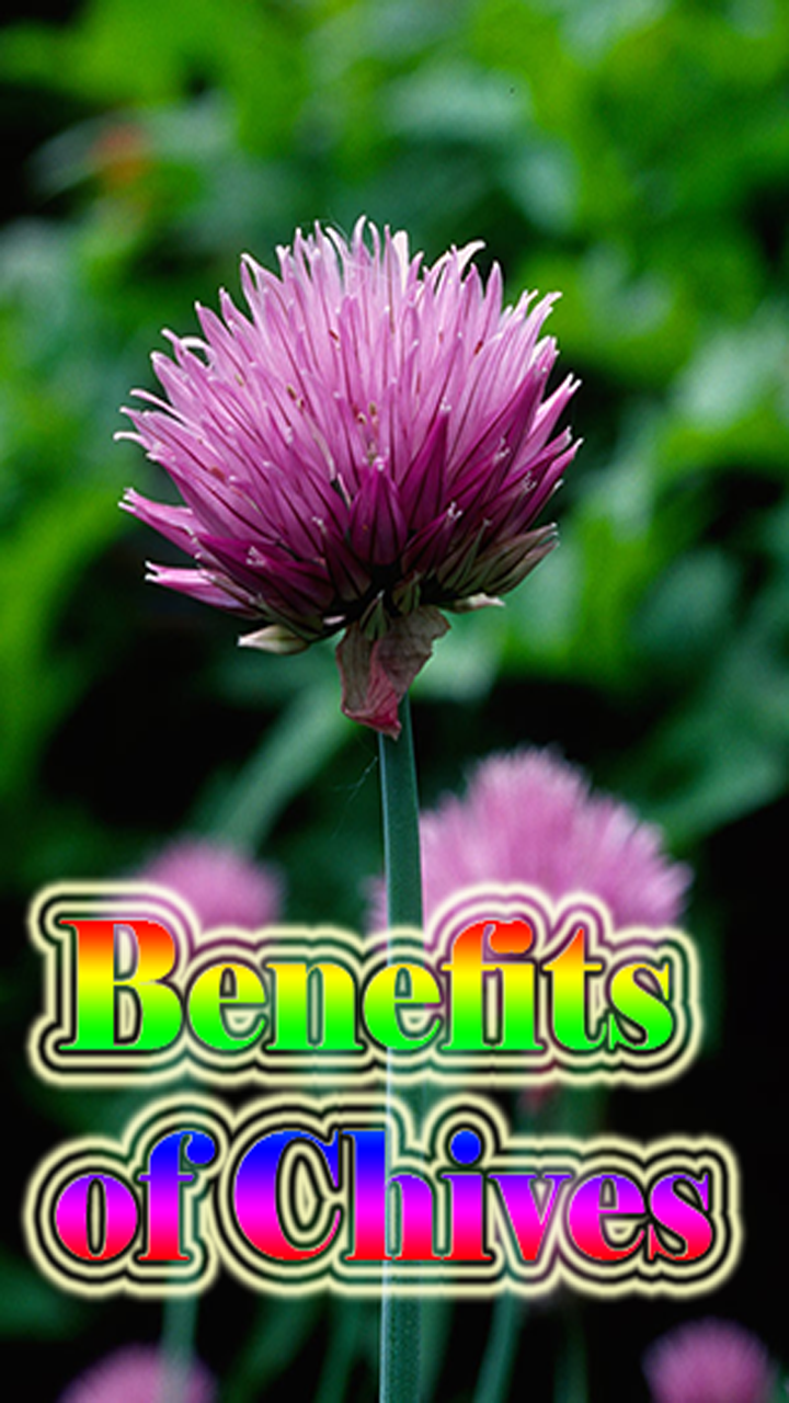 Benefits of Chives - App on the Amazon Appstore