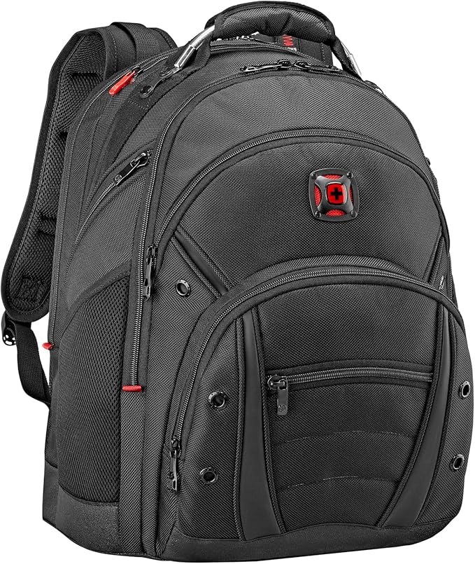 Amazon.com: Wenger Synergy Pro Laptop Case, Backpack, 3-foot by 16-inch ...