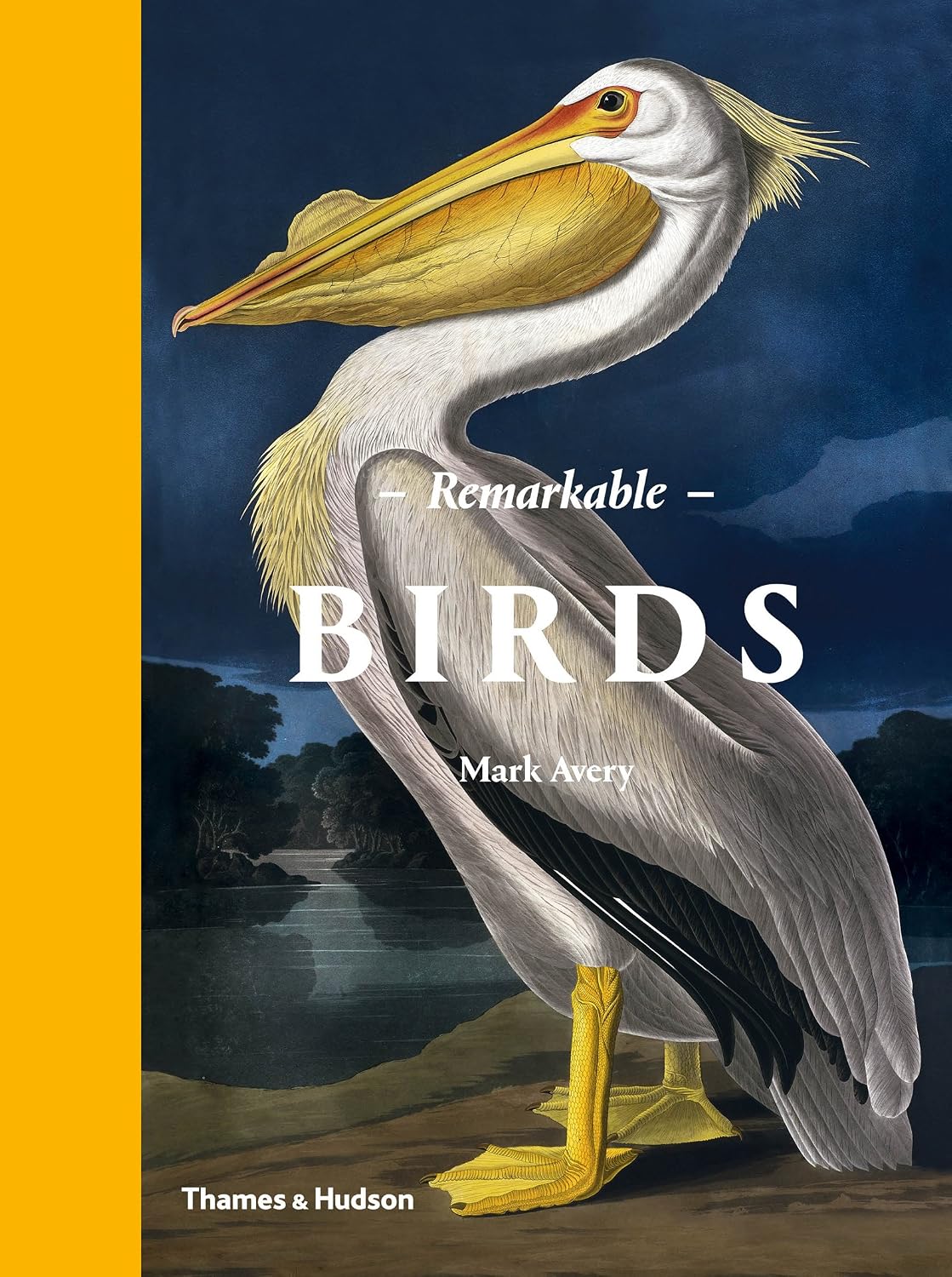 Remarkable Birds , Avery, Mark - Amazon.com