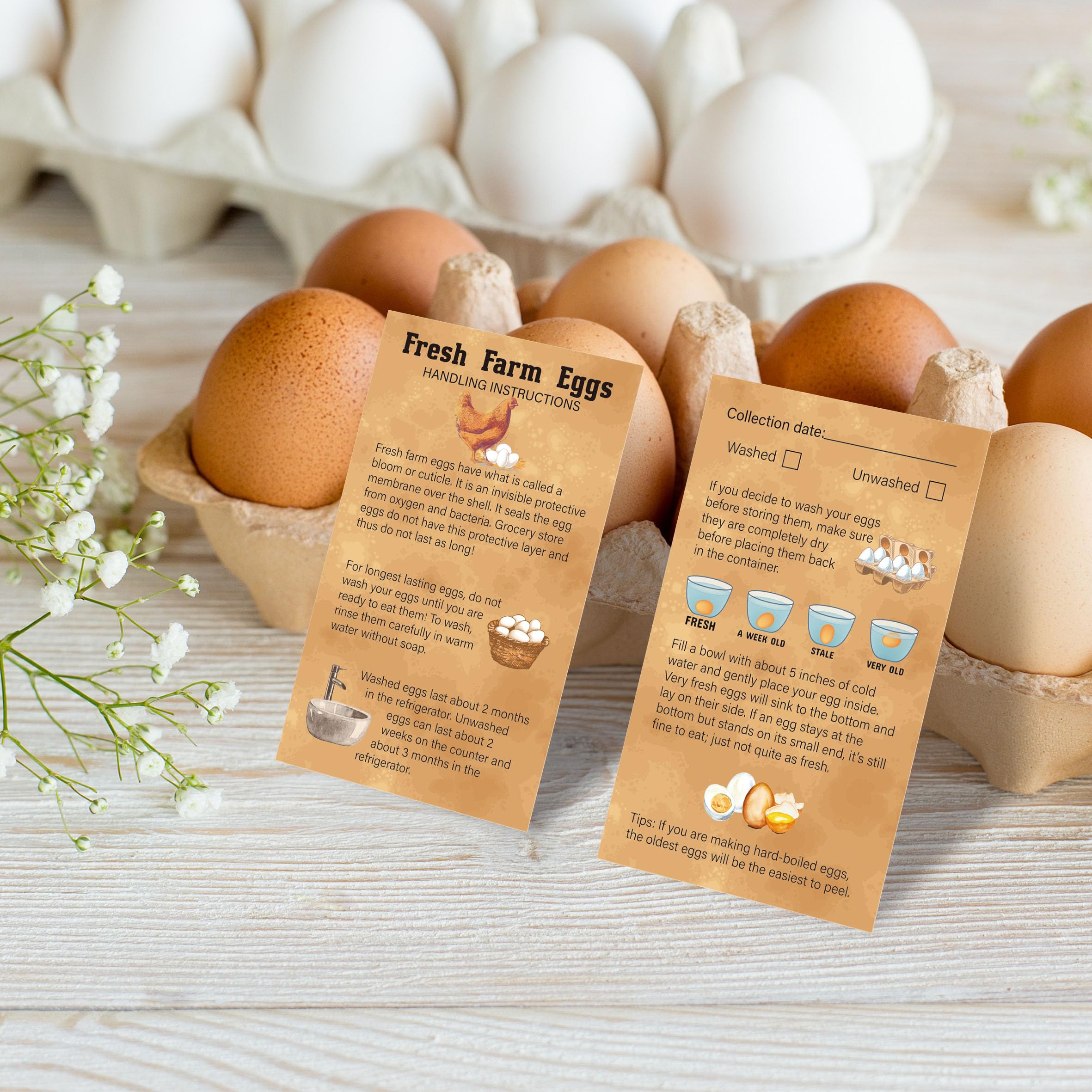 Snapklik.com : 240 Pcs Egg Handling Instruction Cards Fresh Farm Sign ...