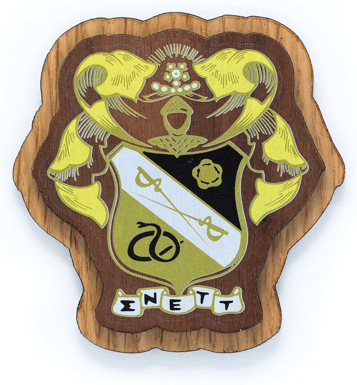Amazon.com: Sigma Nu Wooden Paddle Crest : Health & Household