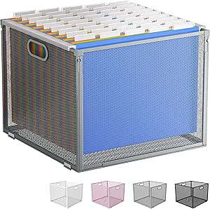 Amazon.com : Oterri Hanging File Organizer, Metal File Organizer ...