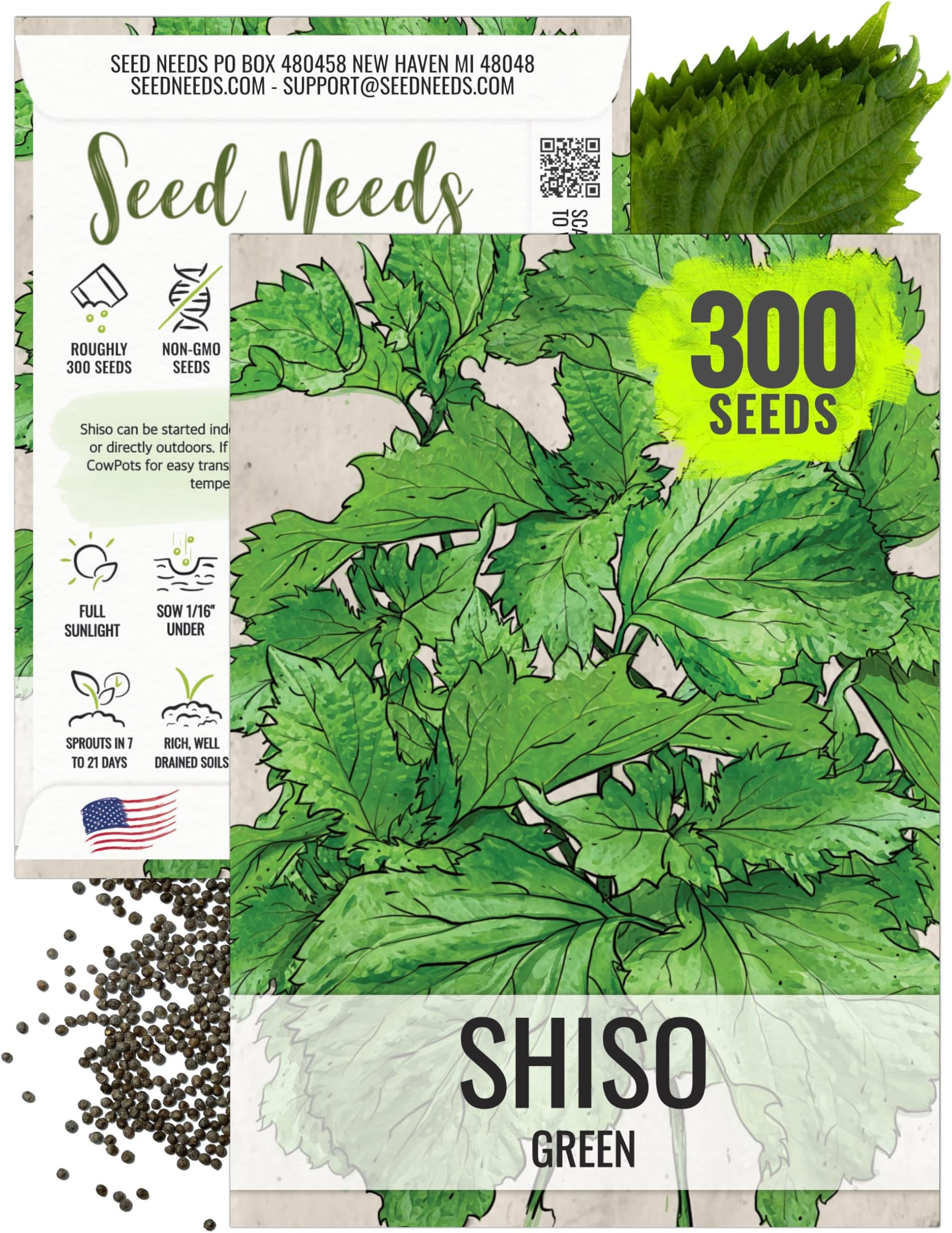 Amazon.com : 800 Seeds Korean Perilla SHISO herb Seeds; 들깨 깻잎 朝鮮紫蘇 シソ ...