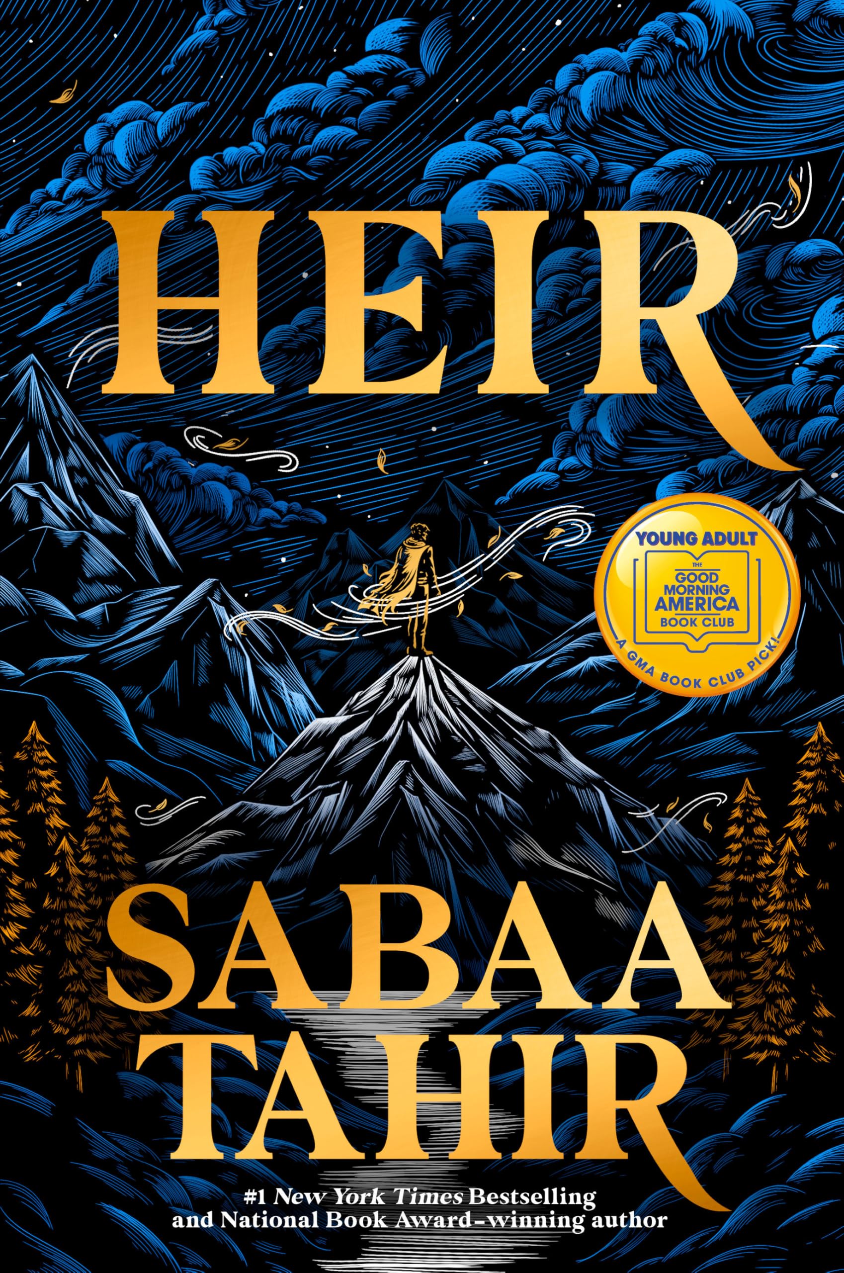 Amazon.com: Heir (A Good Morning America YA Book Club Pick ...