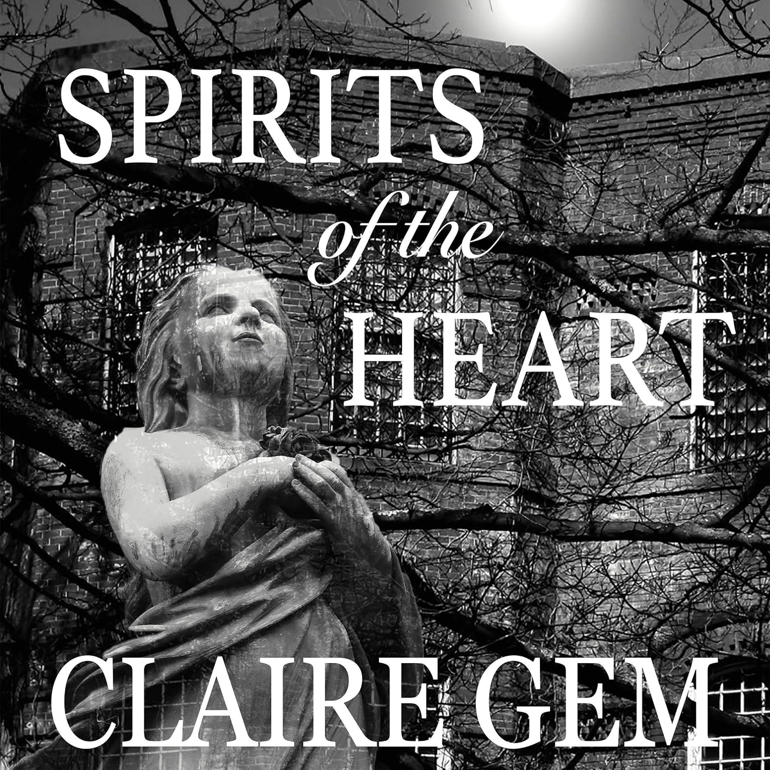 Amazon.com: Spirits of the Heart: A Haunted Voices Novel, Book 2 ...
