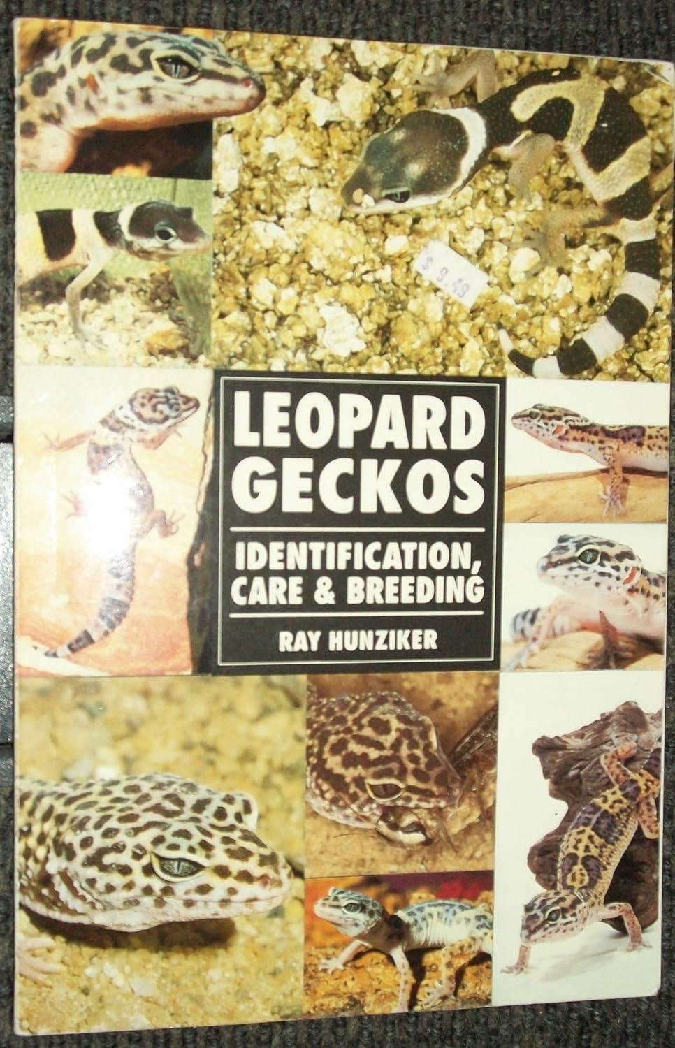 The Guide to Owning a Leopard Gecko/ Leopard Geckos: Identification ...