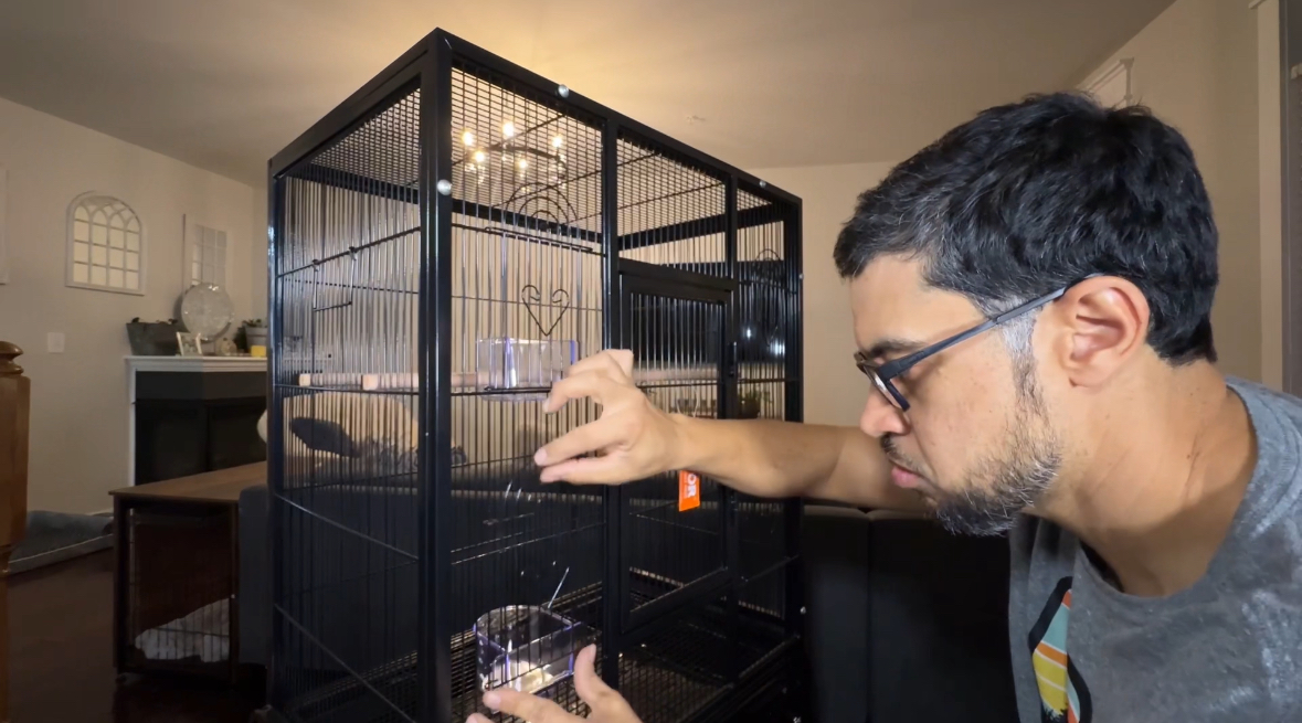 Bird Cage Beard Photos From The National Beard And Moustache