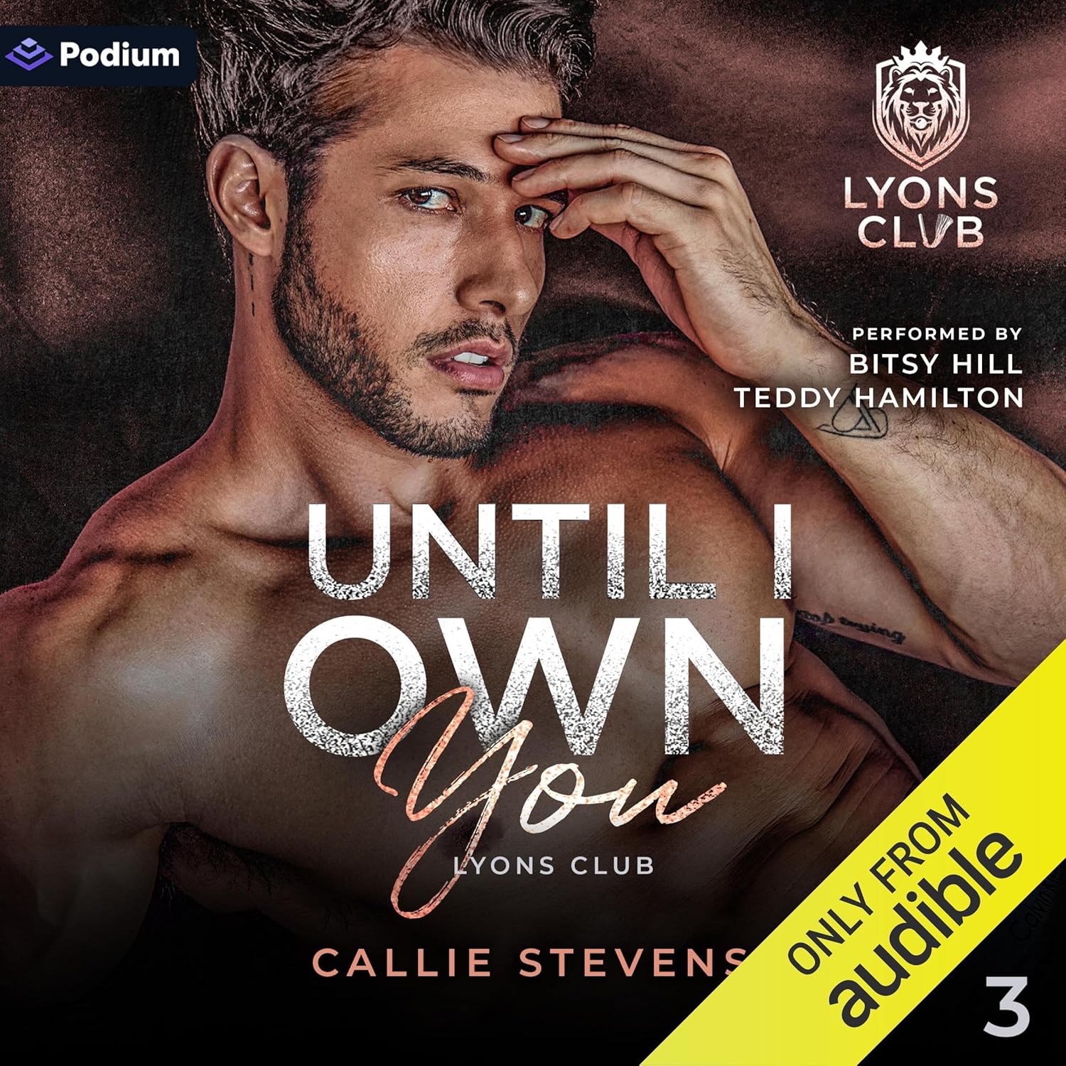 Amazon.com: Until I Own You: A Stepbrother Romance: Lyons Club, Book 3 ...