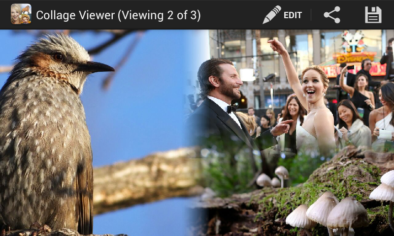 PicMix Free:Amazon.com:Appstore for Android