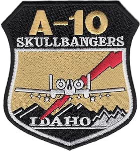 Amazon.com: 190th Fighter Squadron Patch - A10 Skullbangers : Clothing ...