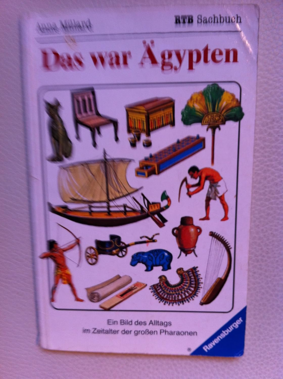 Das war Ägypten: Ein Bild des Alltags zur Zeit der großen Pharaonen ...