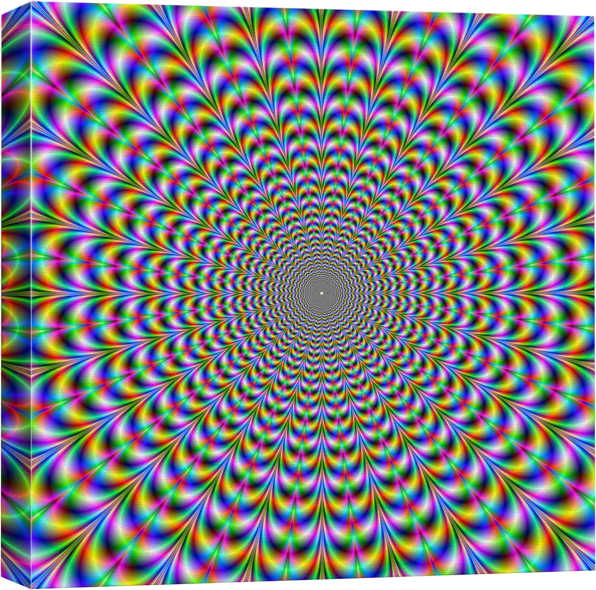 Amazon.com: Trends International Zebra Stripe Optical Illusion Wall ...