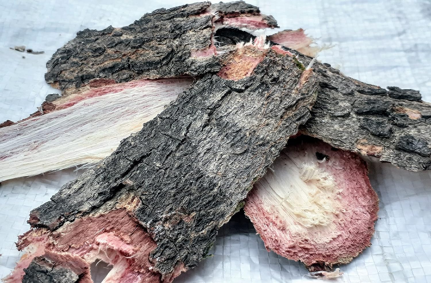 Ambe Ayurveda - Neem Bark Powder - Neem Chhal Powder - 100gm : Amazon ...