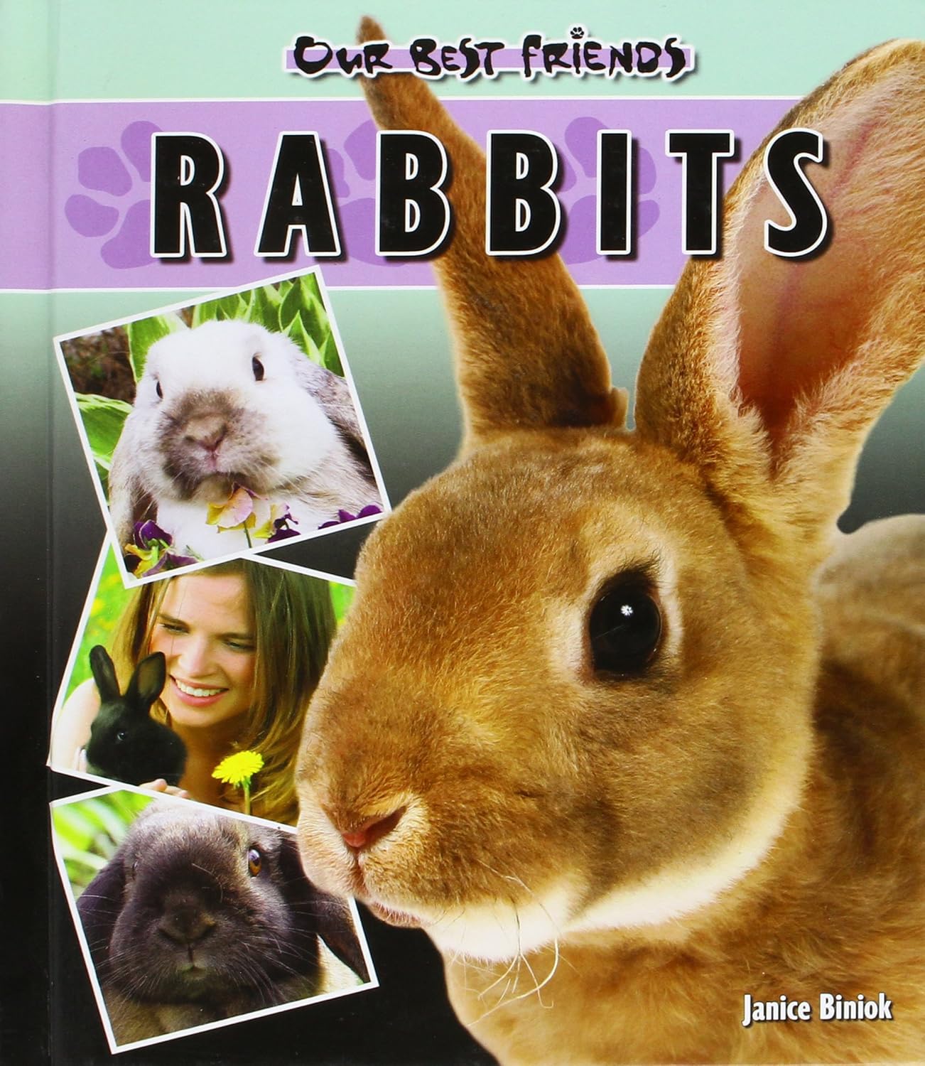 Rabbits (Our Best Friends): Biniok, Janice: 9781932904321: Amazon.com ...