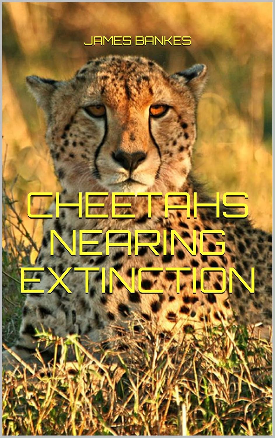 CHEETAHS NEARING EXTINCTION 1, Bankes, James - Amazon.com
