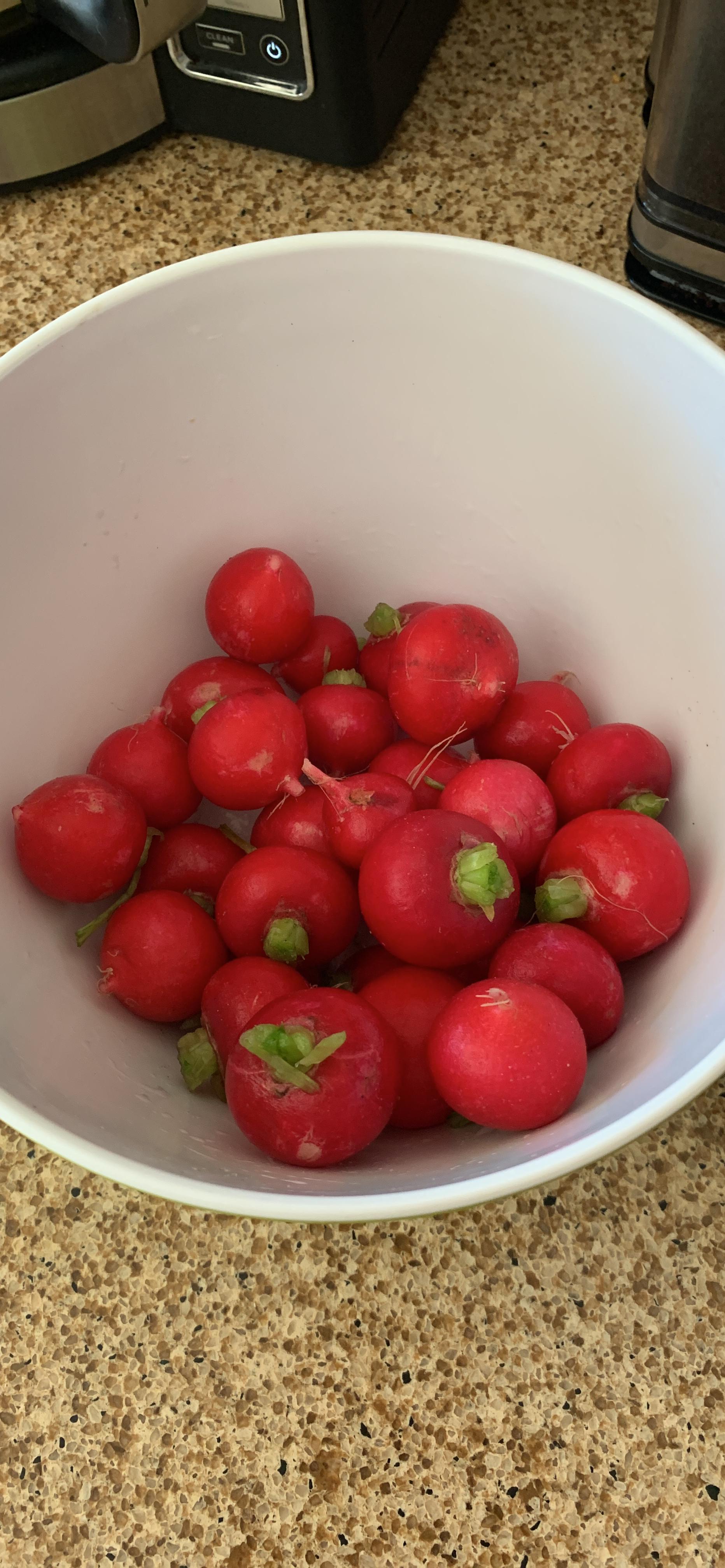 Amazon.com: Root Radish Red Organic, 1 Bunch : Grocery & Gourmet Food