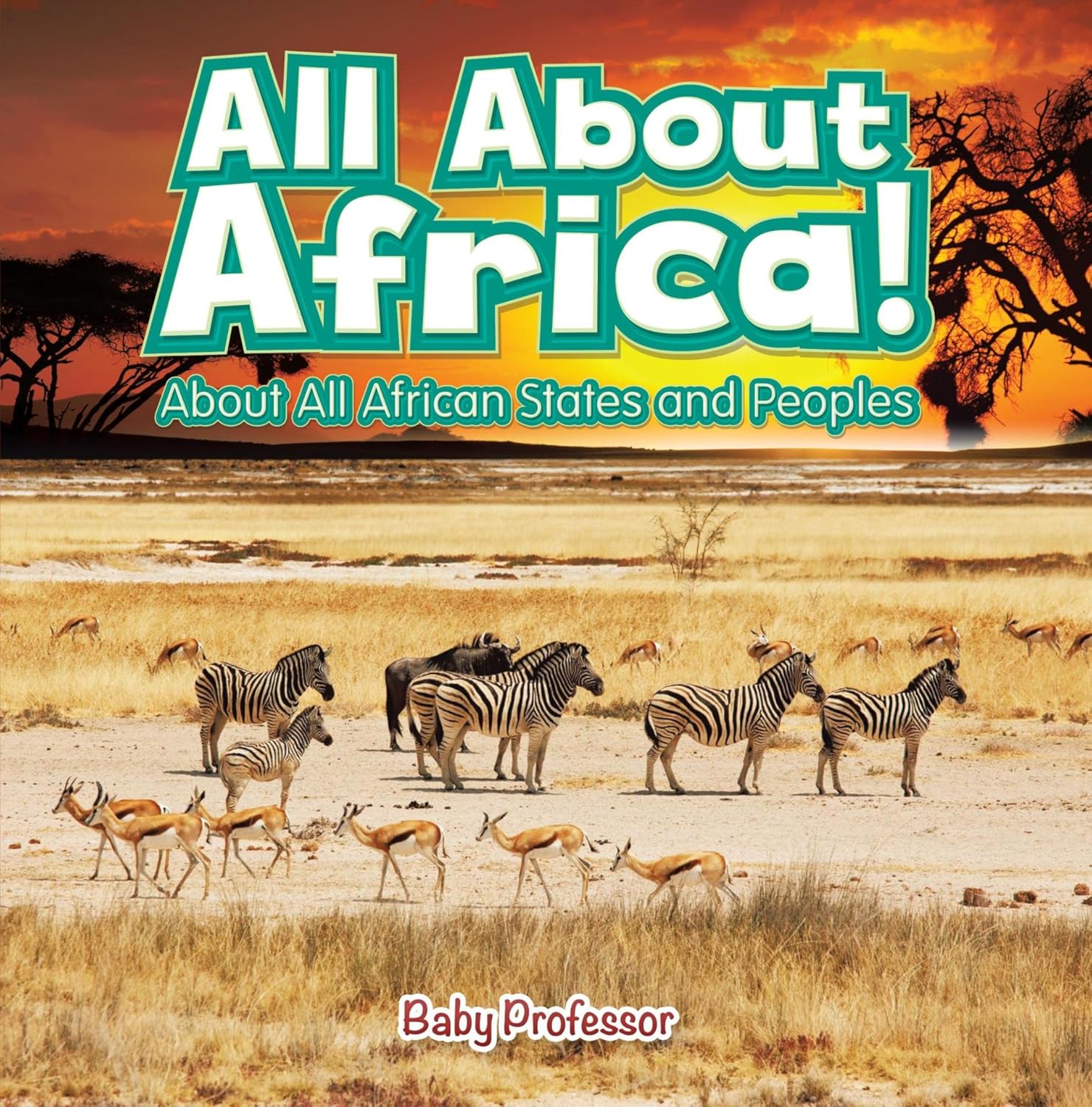 All About Africa! About All African States and Peoples - Kindle edition ...