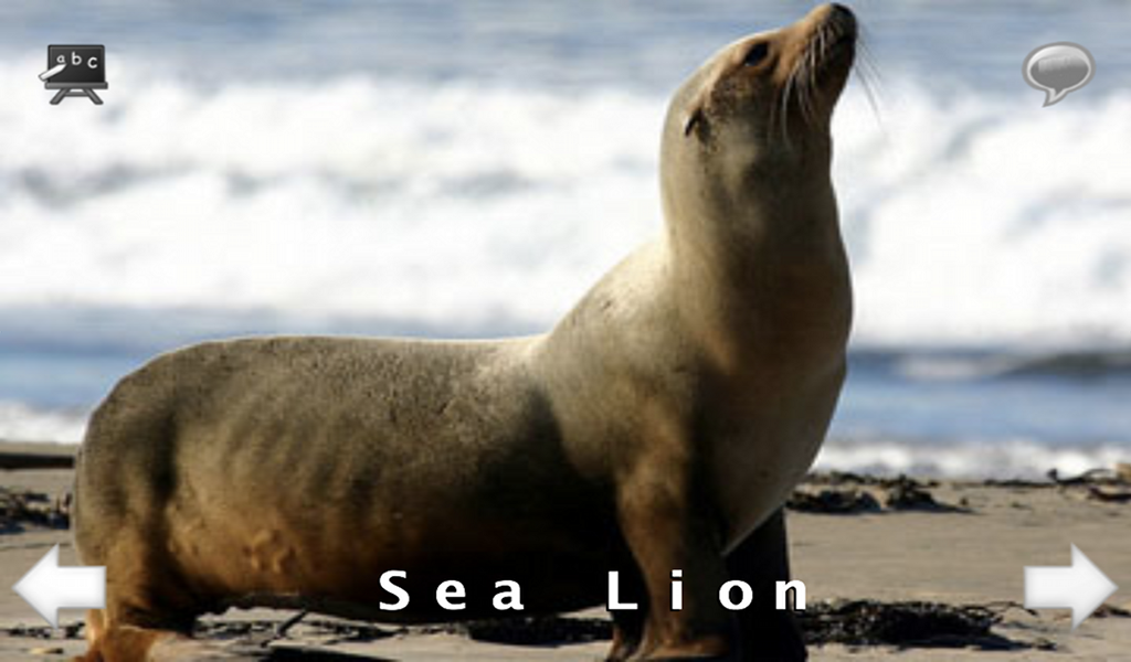 Animal Sounds and Spell for Kids HD - App on Amazon Appstore