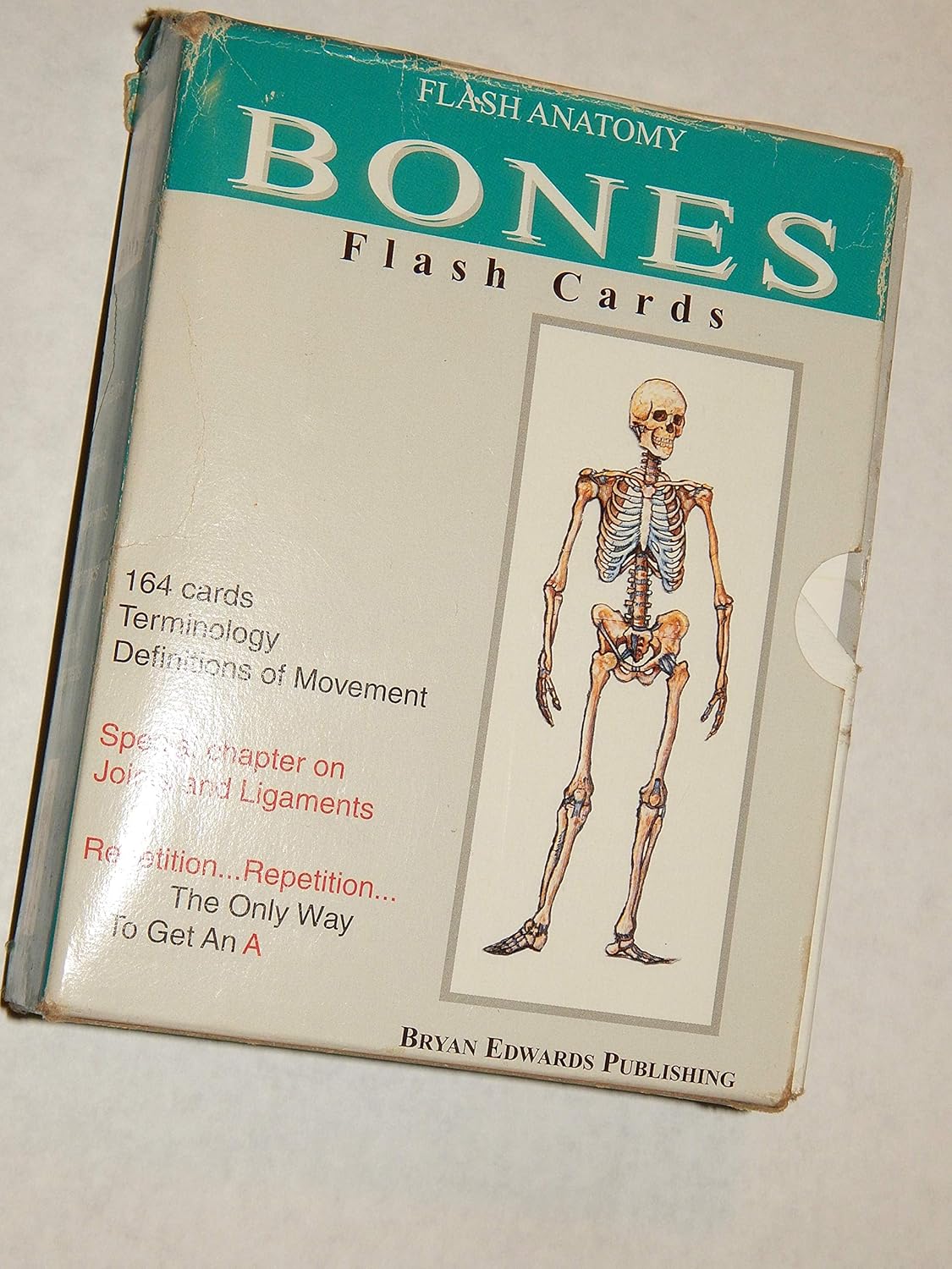 The Bones (Flash Cards): Flash Anatomy: 9781878576019: Amazon.com: Books