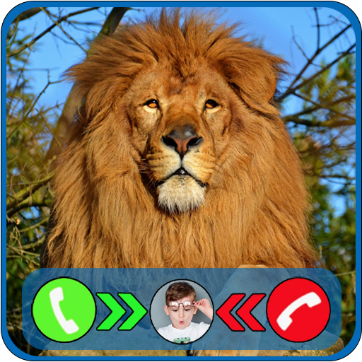 Incoming Video Call From Lion Fake Video Voice Call & Texting Simulator ...