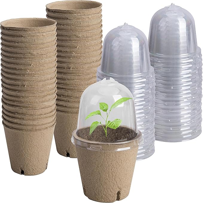 Amazon.com: EBaokuup 40pcs Biodegradable Seeding Starter Pots for ...