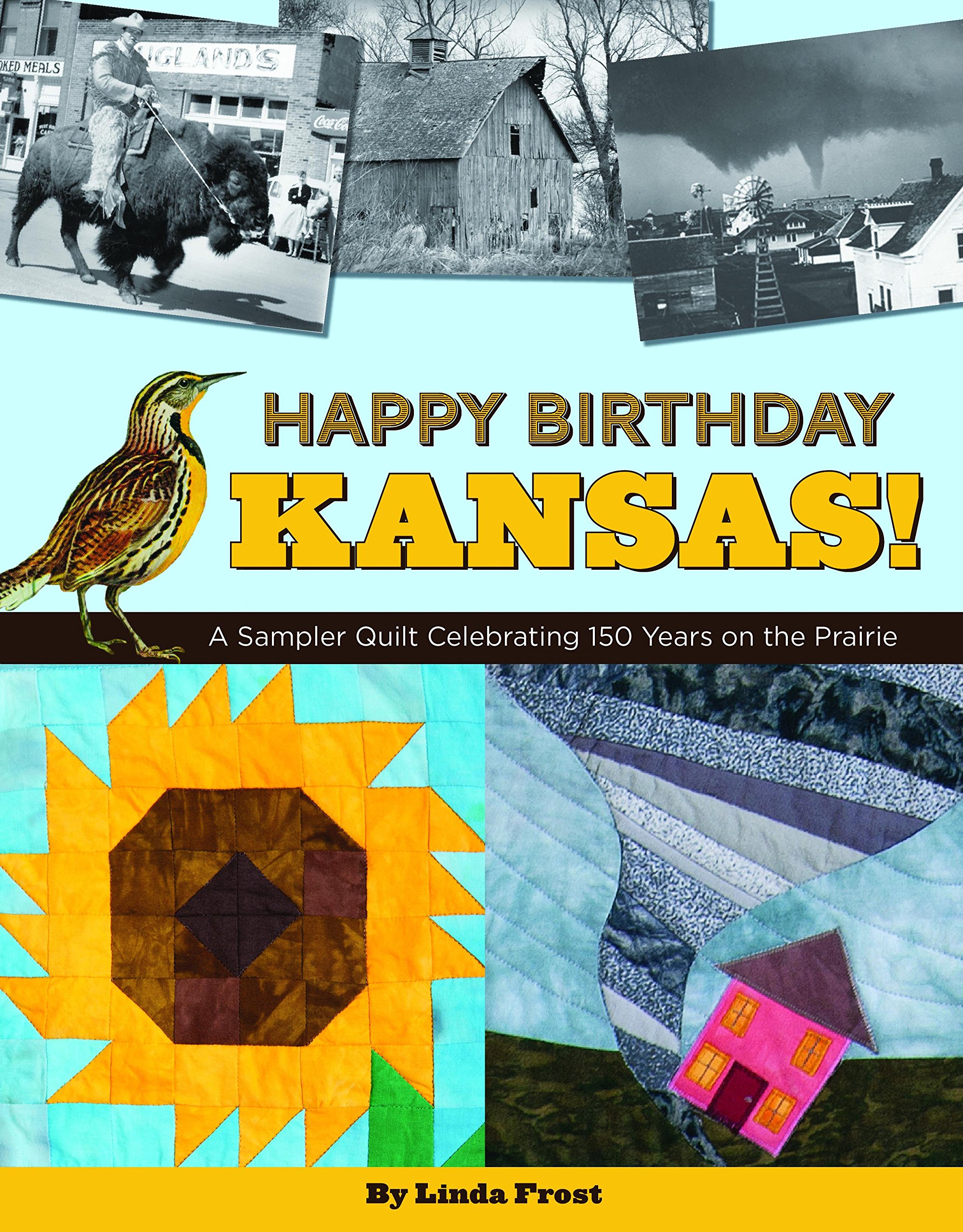 Happy Birthday Kansas!: A Sampler Quilt Celebrating 150 Years on the ...