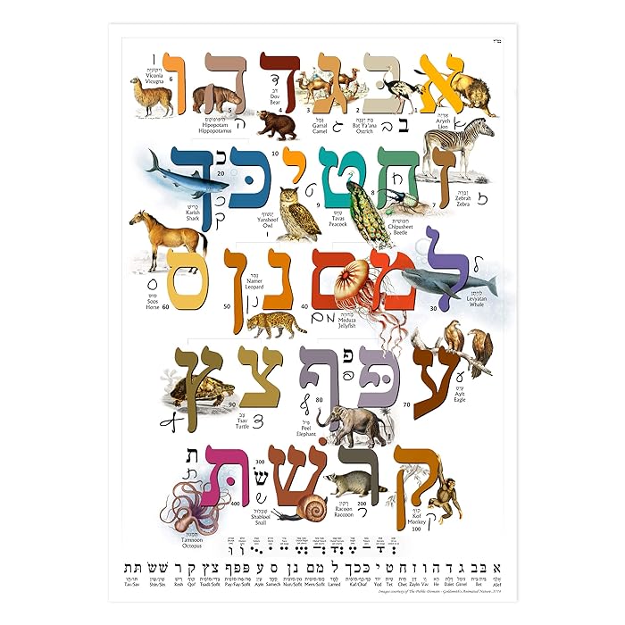 Buy Hebrew Aleph Bet (Alef Bet) Animal Poster/Chart for Children with ...