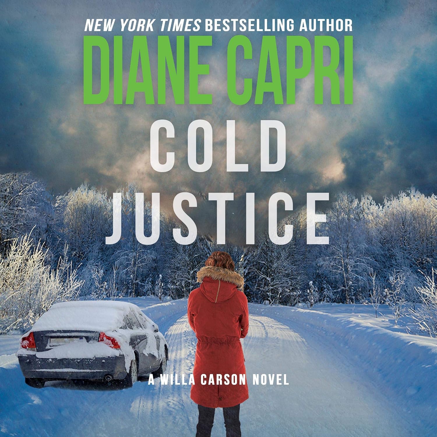 Amazon.com: Cold Justice: A Willa Carson Mystery: The Hunt for Justice ...