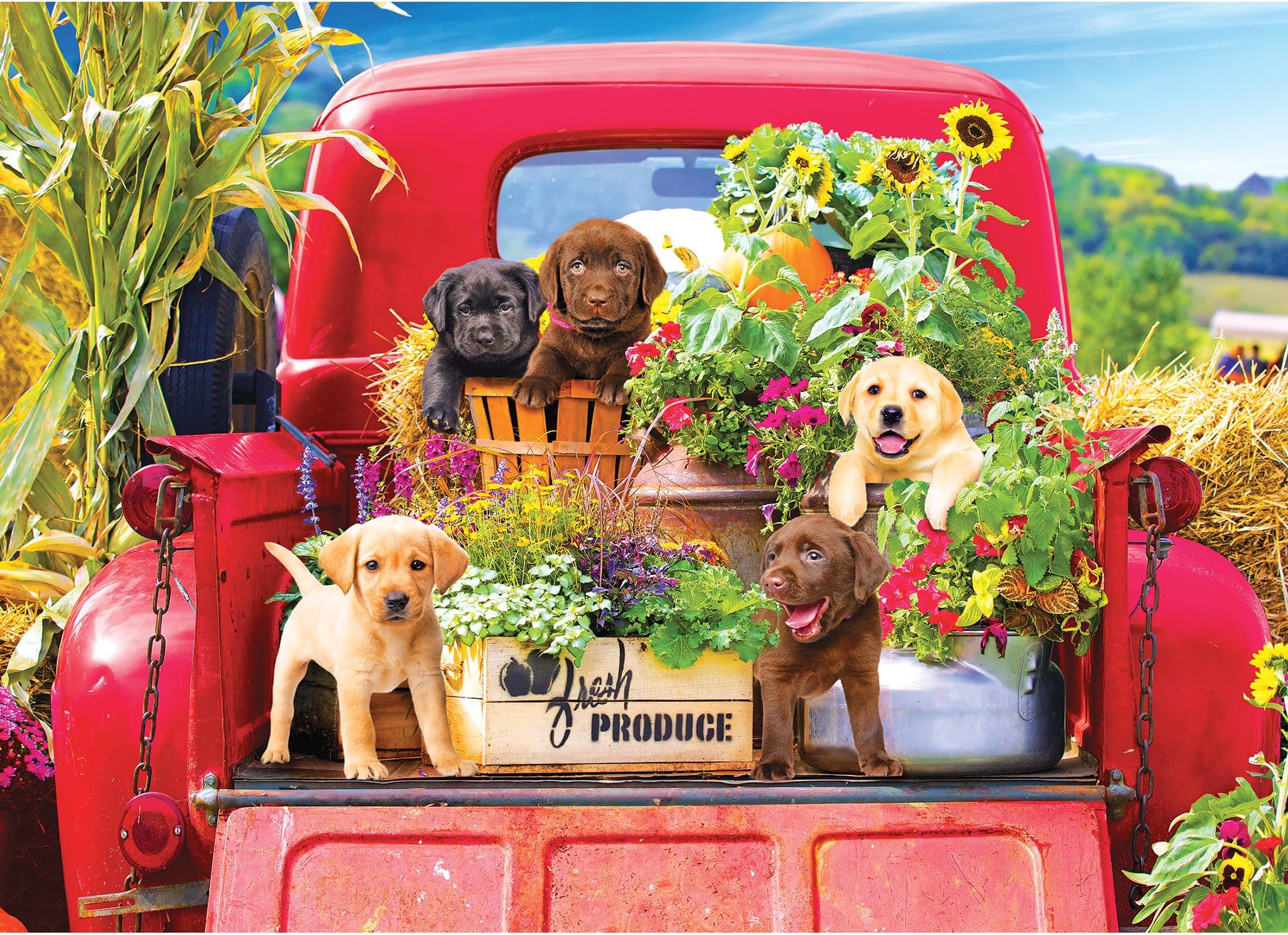BITS AND PIECES 4-in-1 Multi-Pack 1000 Piece Jigsaw Puzzles for Adults ...