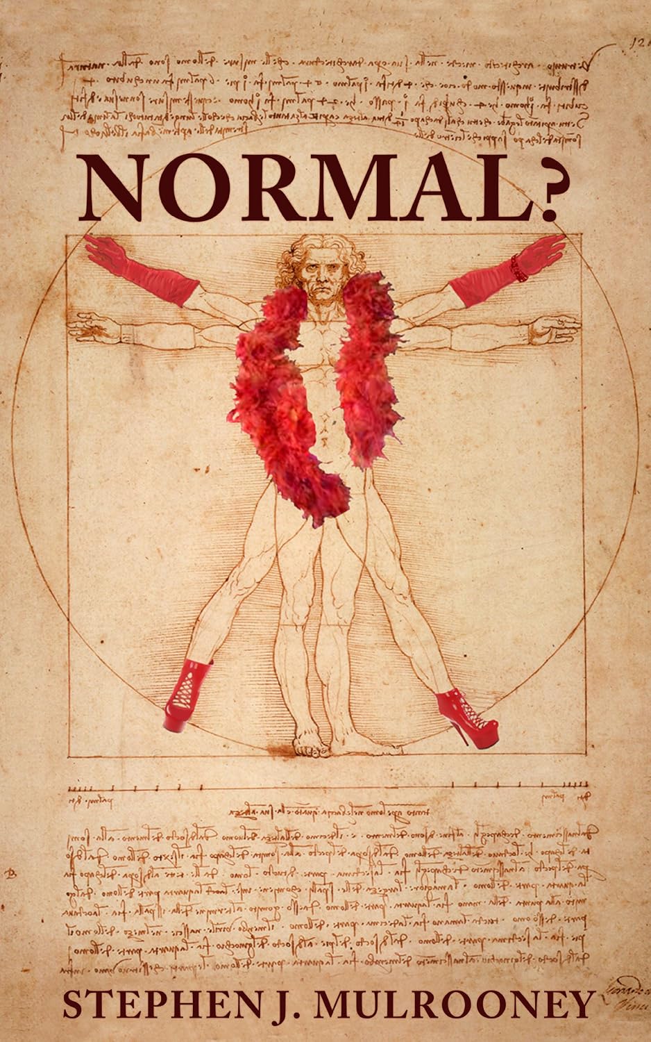 Amazon.com: Normal? (Normal? Series by Stephen J. Mulrooney Book 1 ...