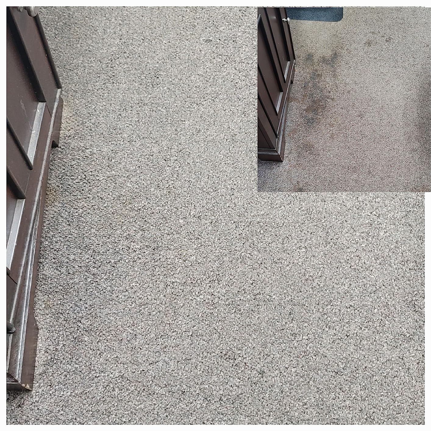 $42/mo - Finance Prolux Core Floor Buffer - Heavy Duty Single Pad ...