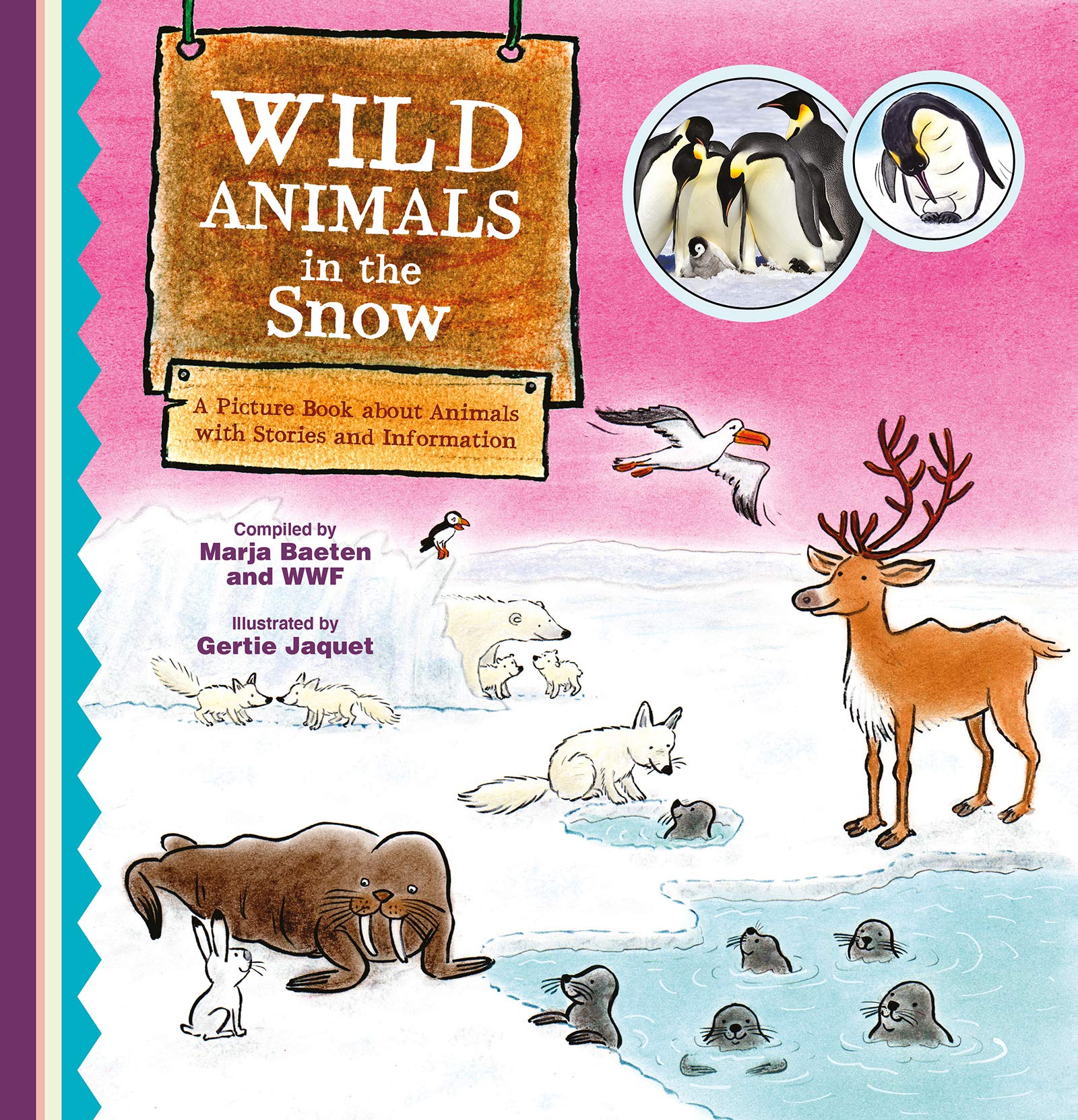 Wild Animals Photos And Information