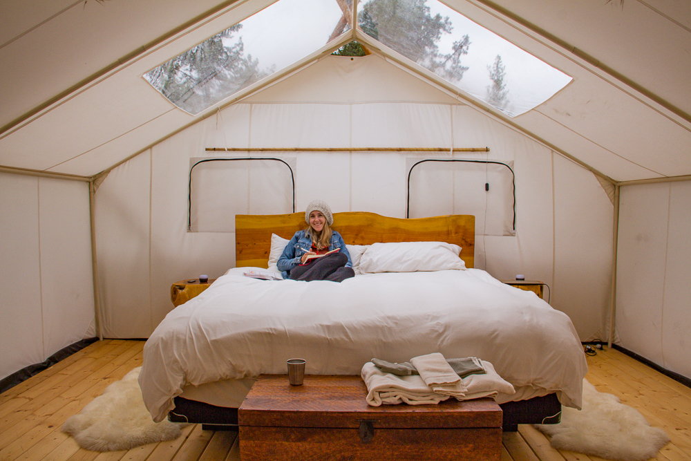 Amazon.com: Anne Howard: books, biography, latest update