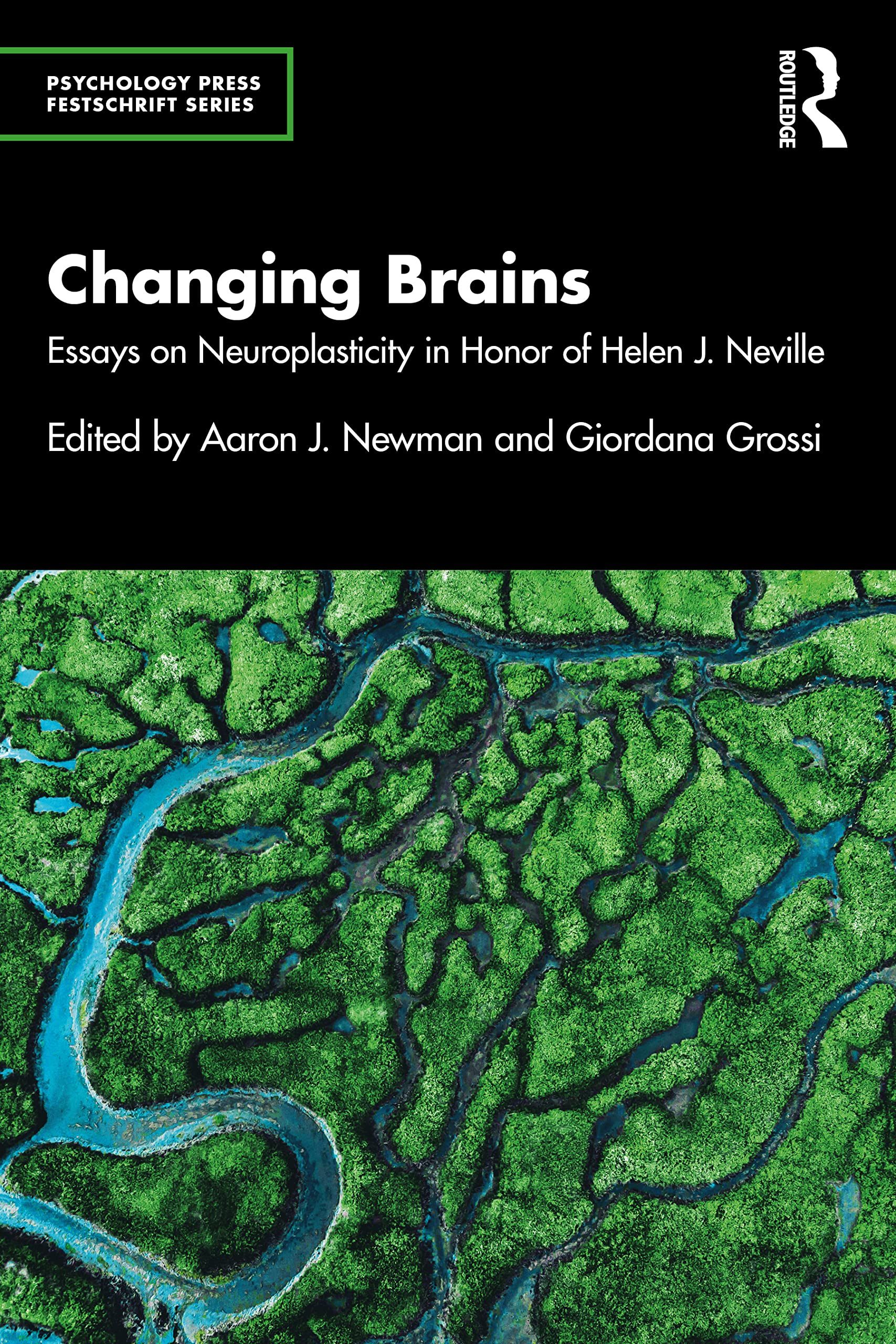 Changing Brains (Psychology Press Festschrift Series): 9780367358693 ...