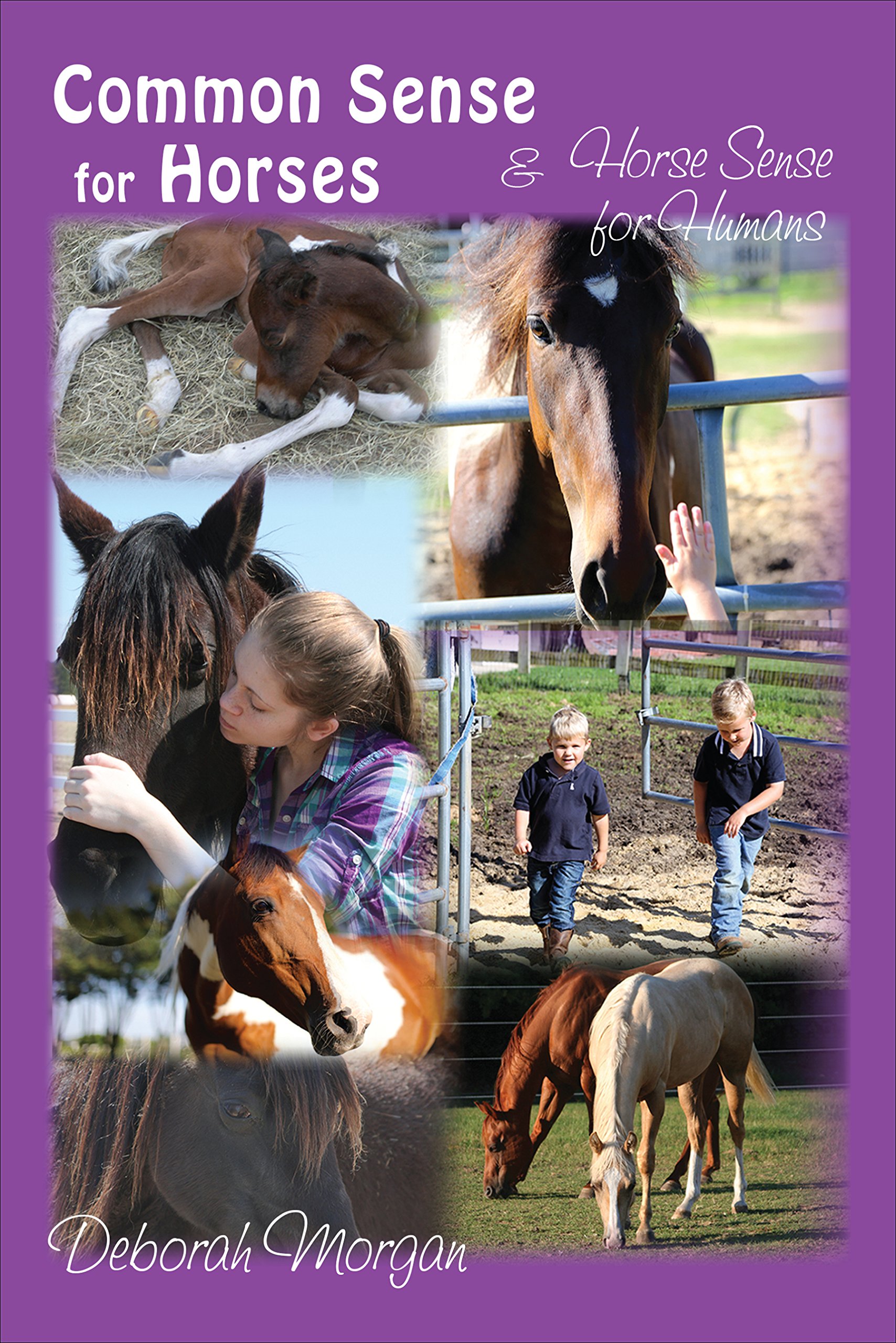 Common Sense for Horses: Deborah Morgan: 9781634494762: Amazon.com: Books