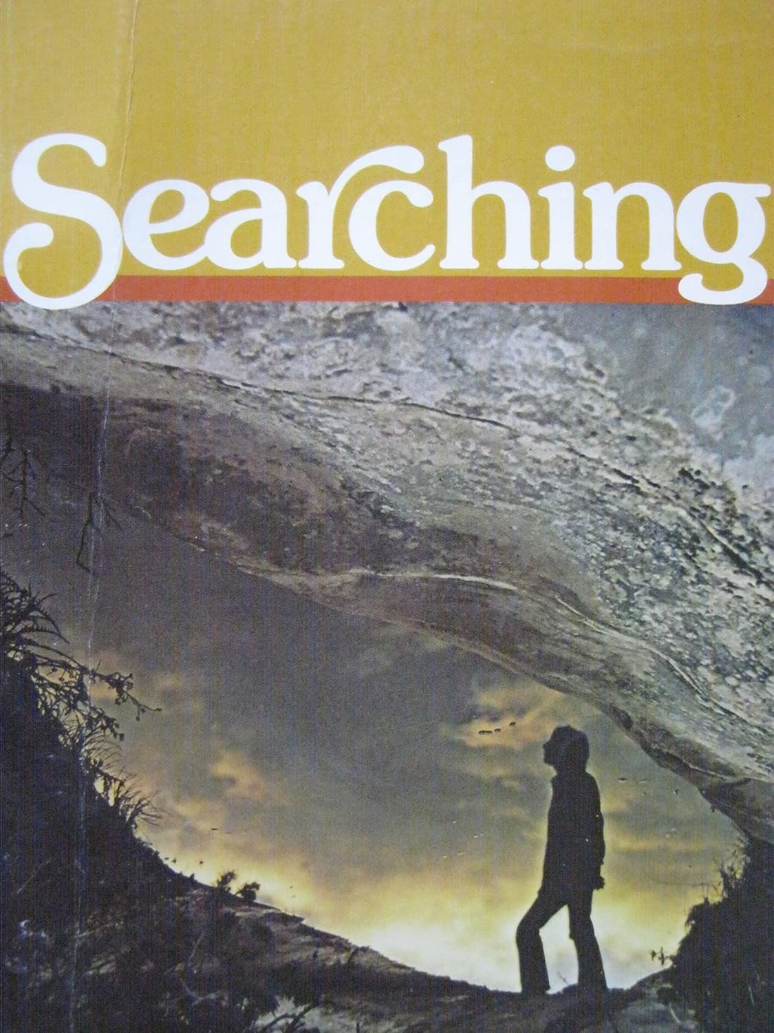Searching (Impact on reading): Dorothy J Sharpe: 9780030460012: Amazon ...