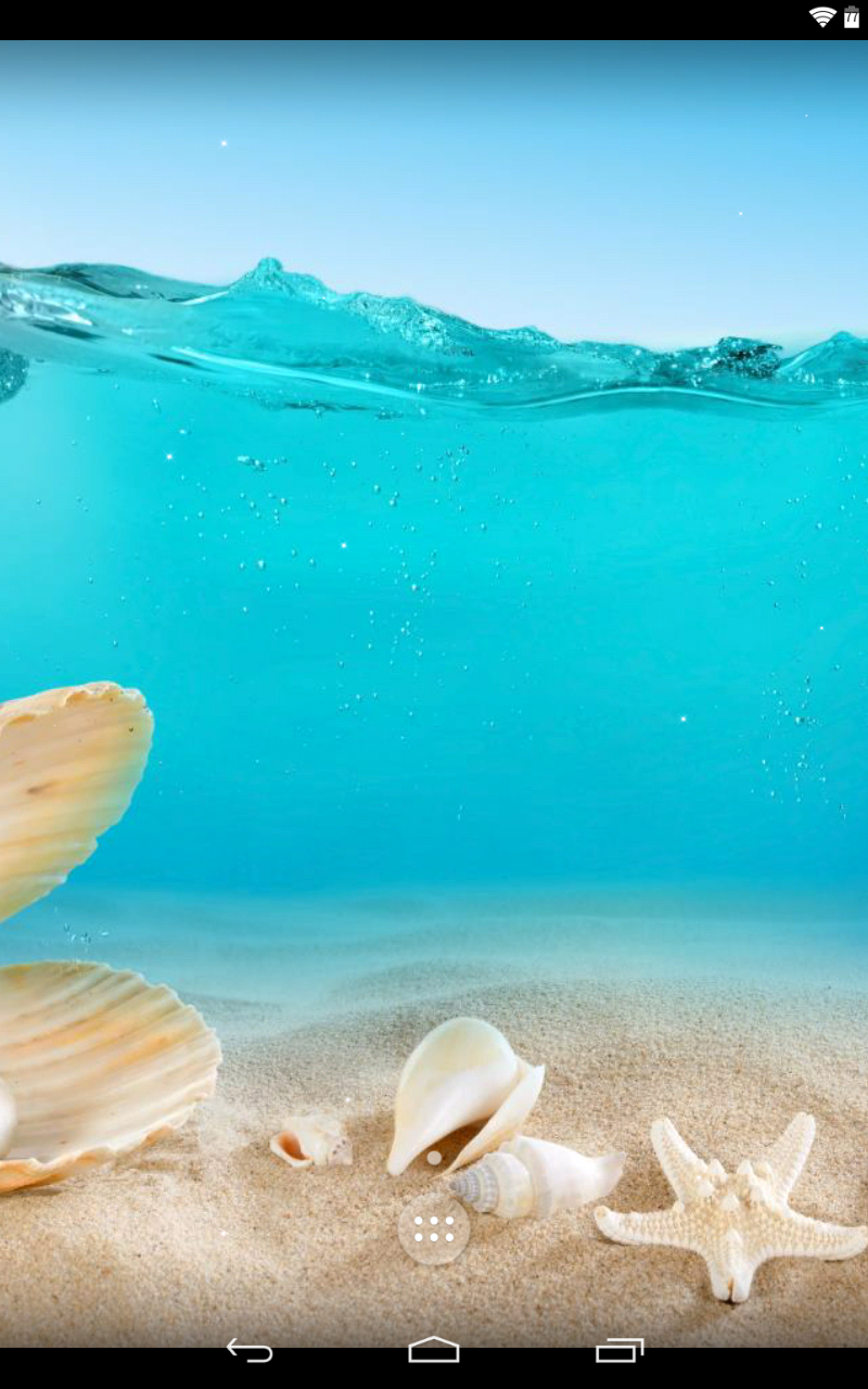 Seashell - App on Amazon Appstore