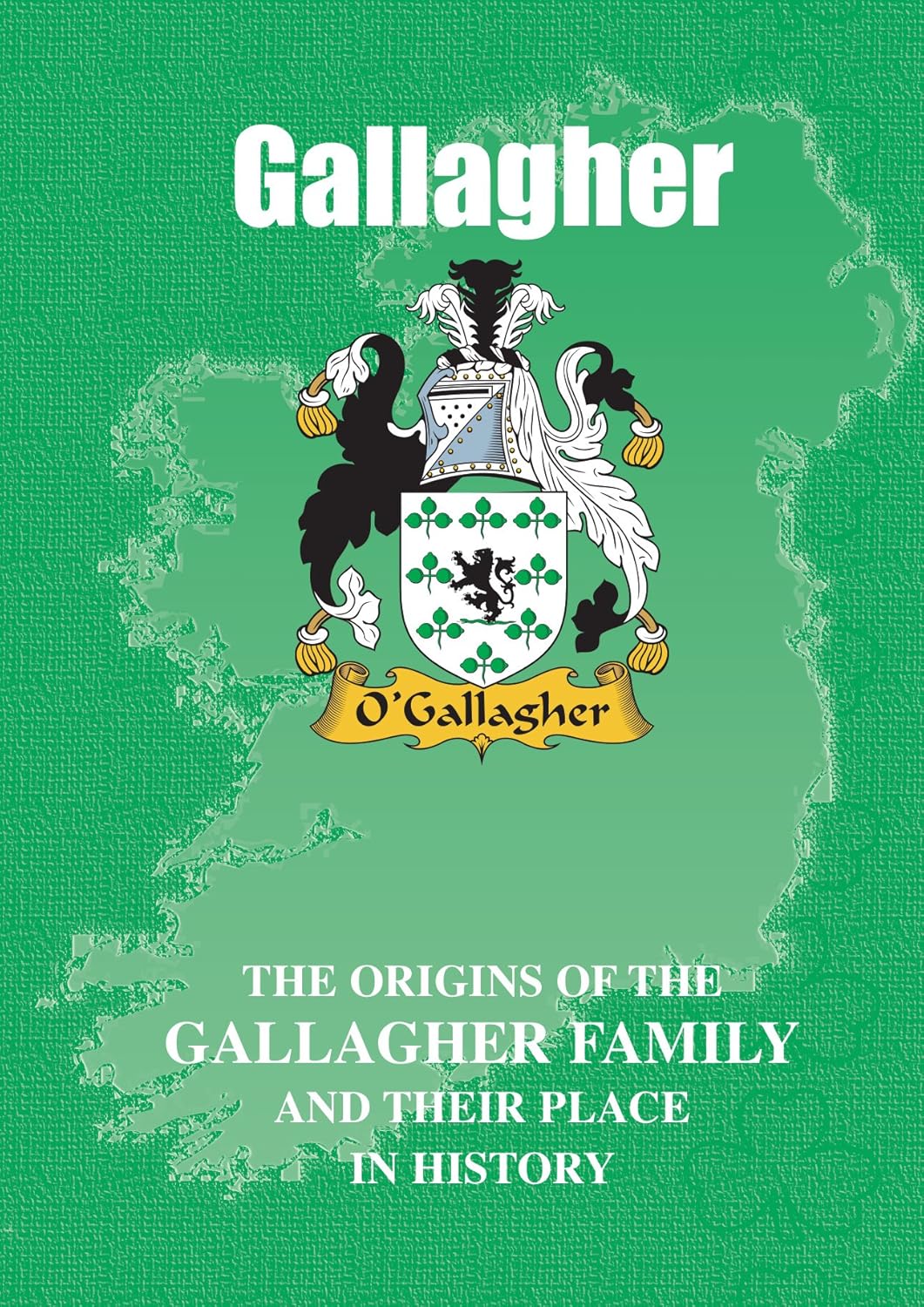 Amazon.com: Gallagher (Irish Mini-Book): The origins of the family name ...