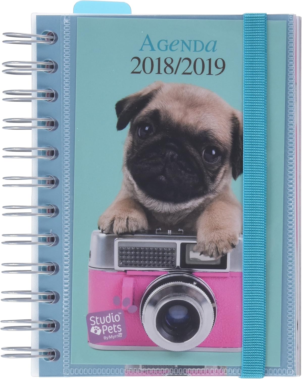 Grupo Erik editores Studio Pets – School Agenda in Spanish with Dog ...