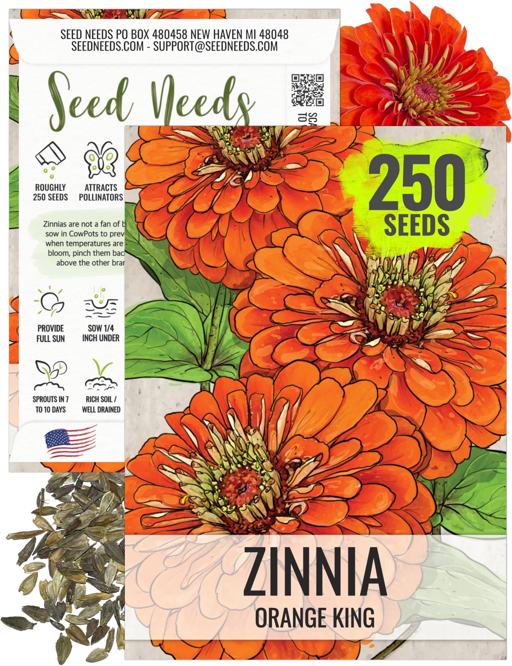 Amazon.com : Scarlet Flame Zinnia - 100 Seeds - Large Red Flowers ...