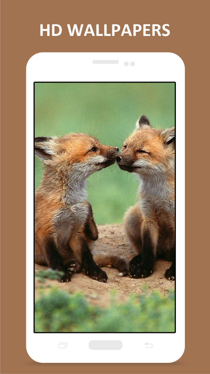 Wallpapers High Resolution Baby Fox Wallpaper Fox, Couple, Cubs, Grass