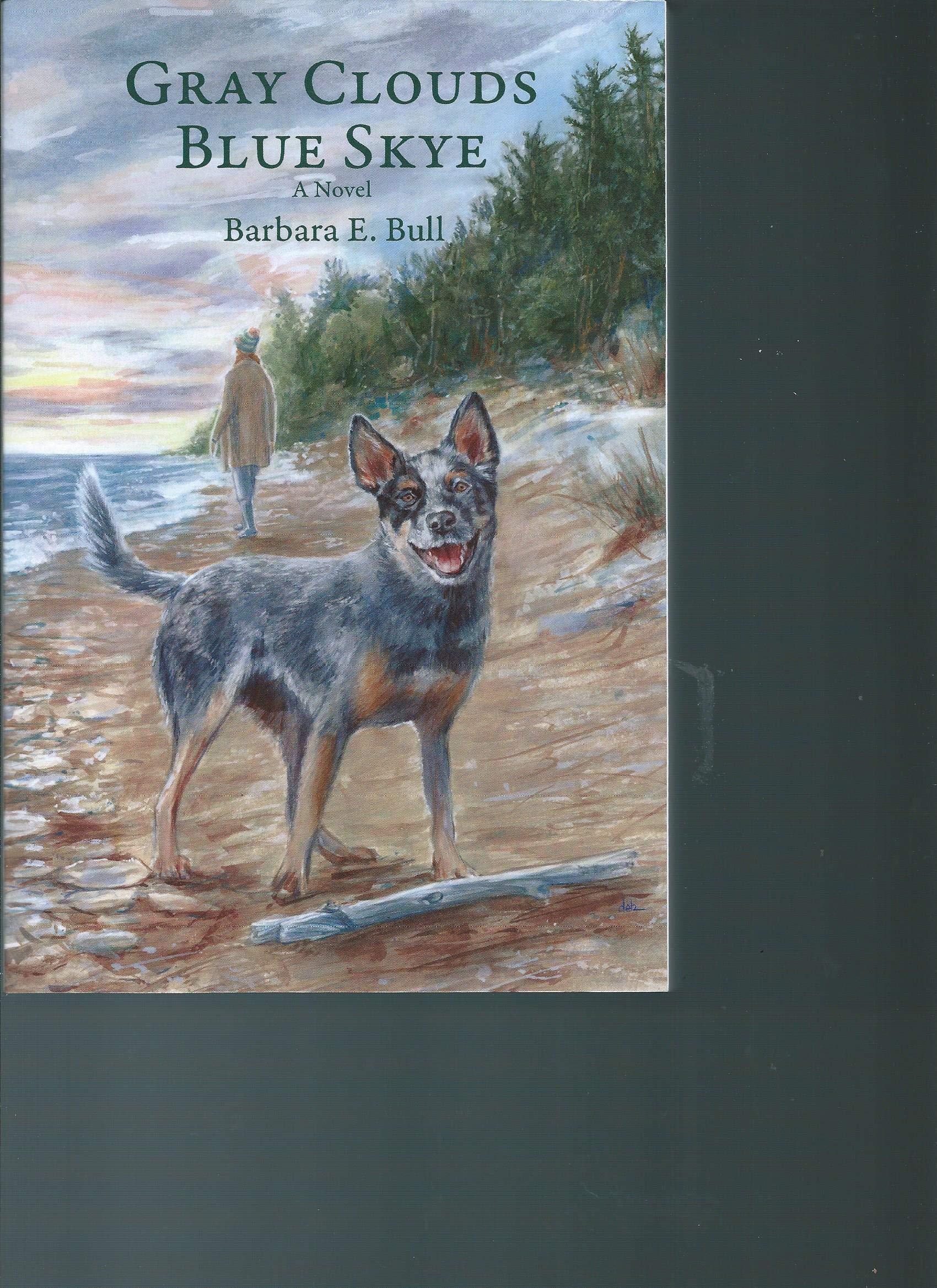 Gray Clouds Blue Skye: Barbara E. Bull: 9780985727895: Amazon.com: Books