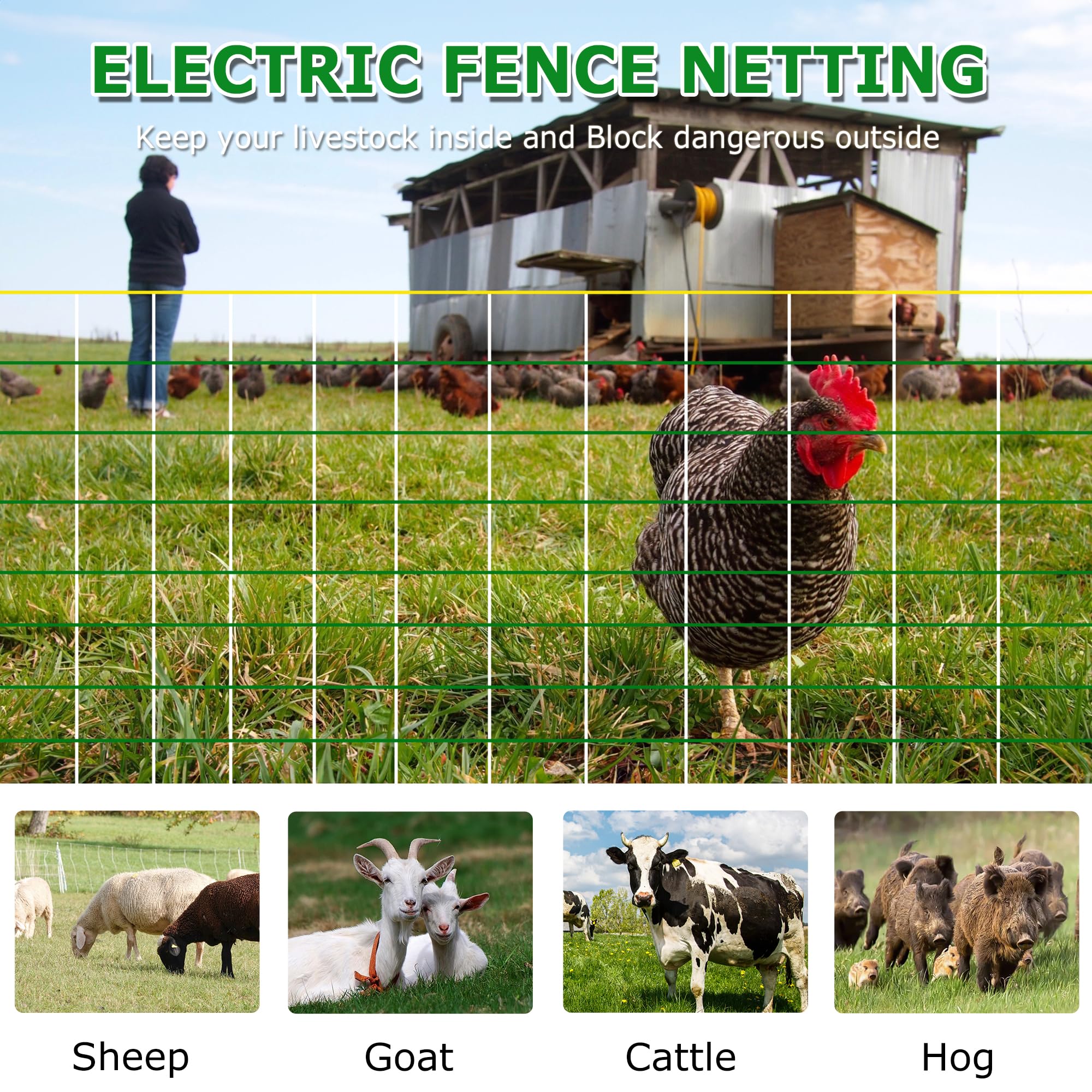 Electrified Chicken Fence
