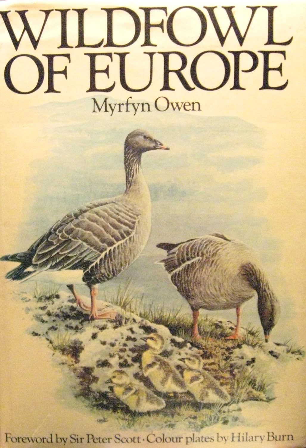 Wildfowl of Europe: Amazon.co.uk: Myrfyn Owen, Peter Scott, Hilary Burn ...