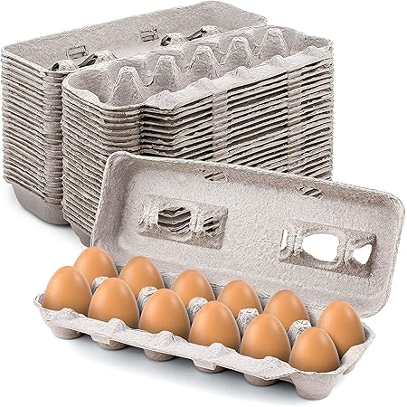 Amazon.com: Nuenen 200 Pieces Cardboard Egg Cartons Blank Paper Pulp ...
