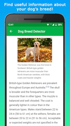 A Good Bio For Dog Walker