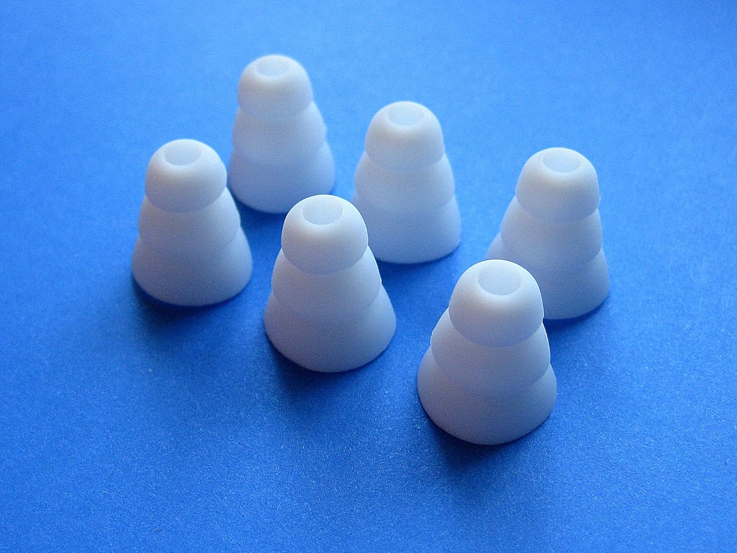 Amazon.com: 6pcs Eartips Compatible with Raycon Everyday and Fitness ...